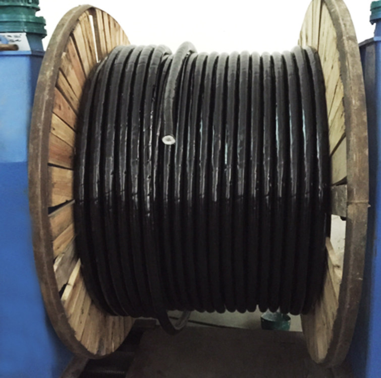 [USD 24.55] Corrosive high temperature sampling tube cems heating cable ...