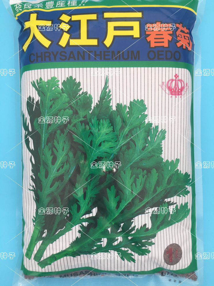 Musashino Seedling Garden, Japan, Oedo chrysanthemum, chrysanthemum ...