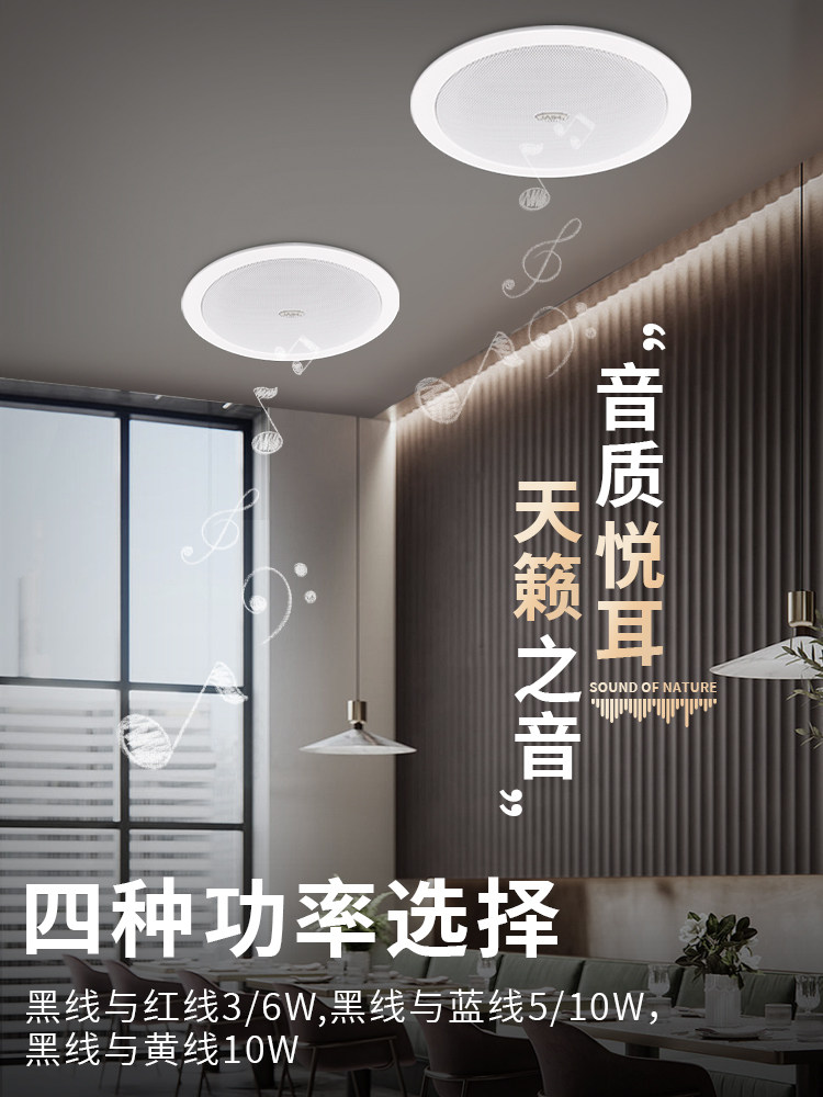 Hivi/惠威TD206/TD205：天花板上的音乐盛宴，如何选择你的音响套装?-工程解决方案-淘宝百科网