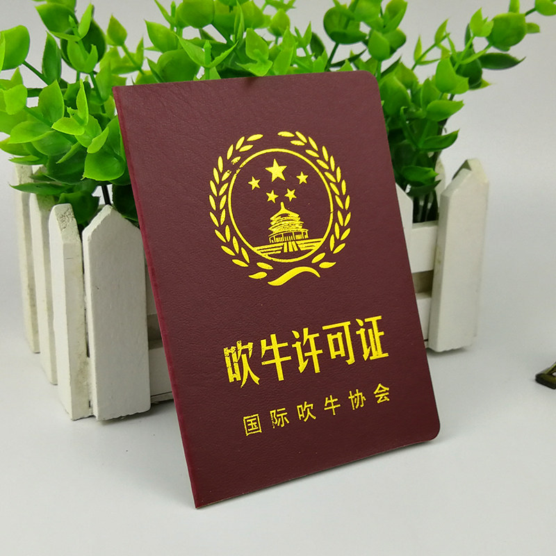 Bragging license: creative and funny certificate, making life full of fun