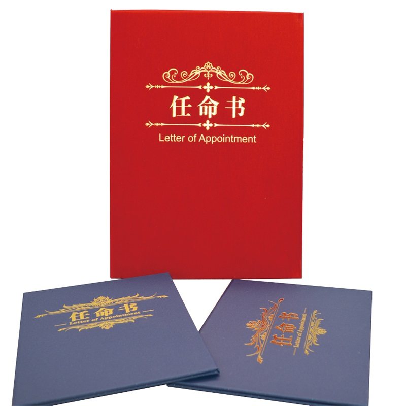 [USD 6.29] A3 Appointment Certificate Honorary Letter of Appointment ...