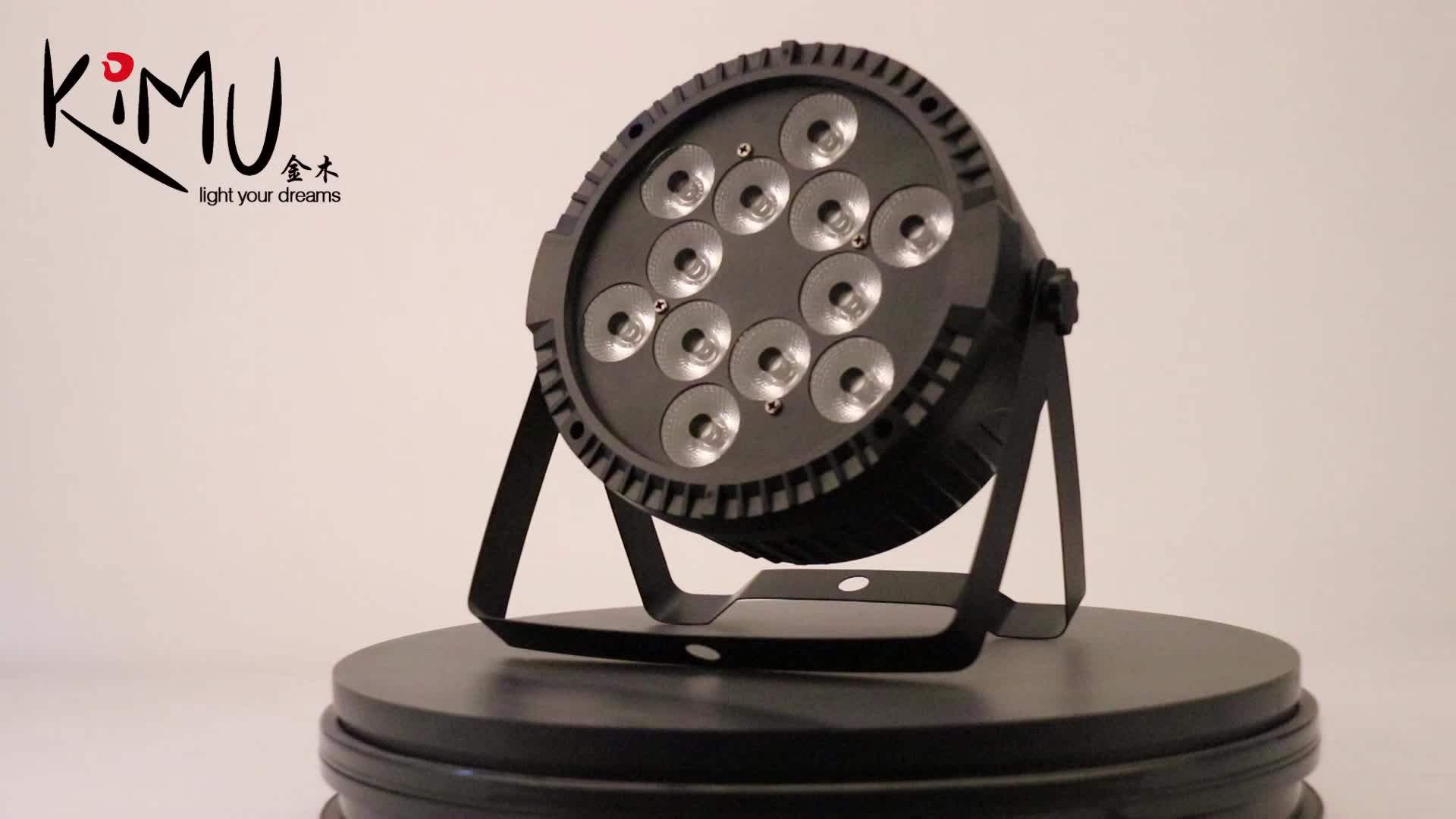 12pcs Rgbw Stage Leds 4in1 Par Light - Buy Stage Lights Par Leds,Led ...