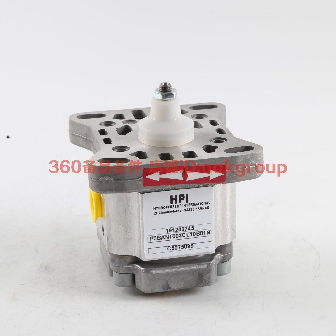 France HPI gear pump P3BAN1003CL10B01N C5075099 Original