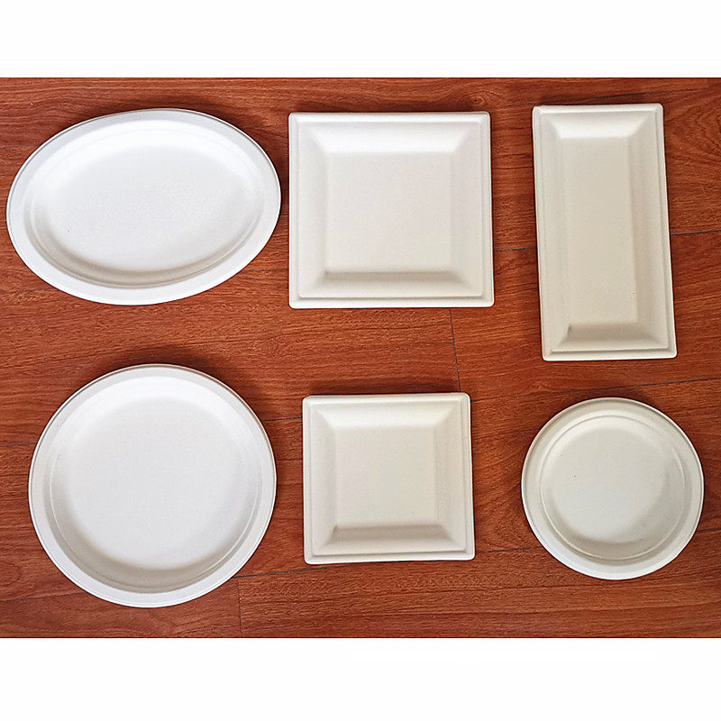 Diy creative crafts: empty white paper plates, bowls and dishes ...