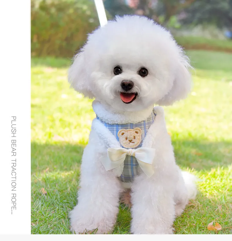 Doomi pet 哆咪宠物用品