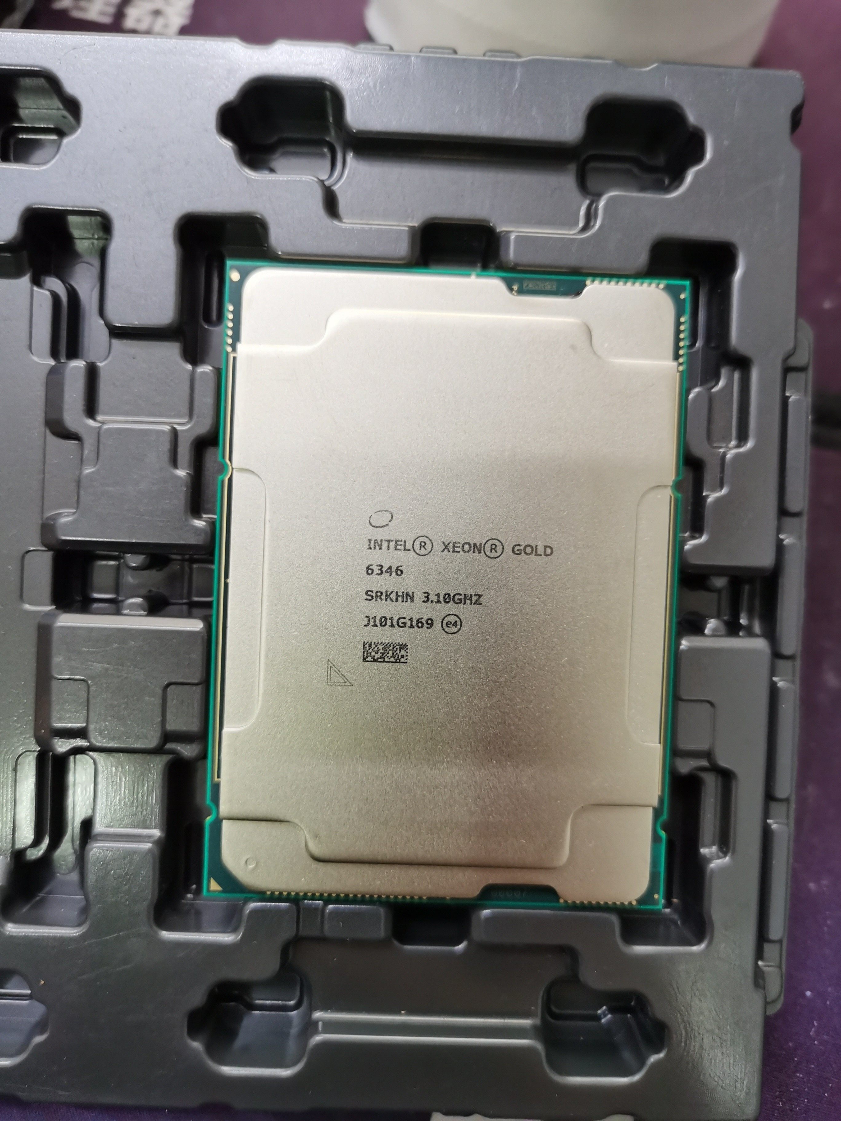 揭秘Intel至强Gold家族！6346/6326/6330/6338/6342/6348，谁是你心中的“最强王者”👑?_CPU_淘宝数码网