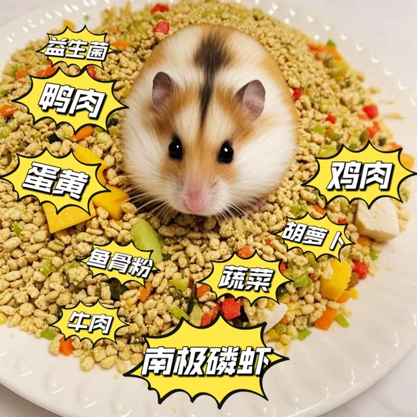 A must-have for pet lovers! a new choice for supplementary food for ...