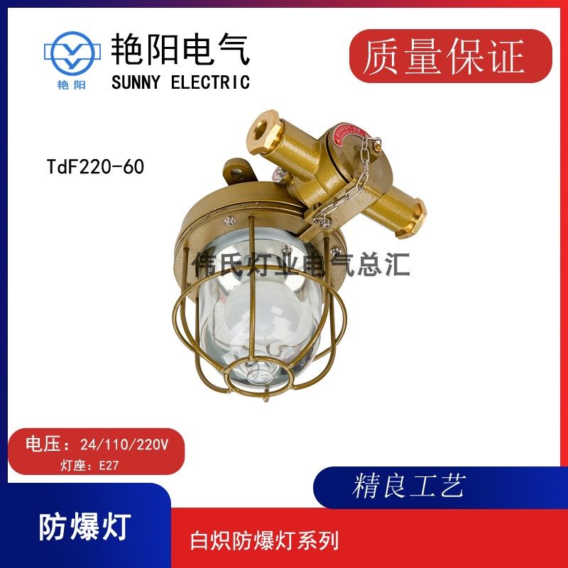 安徽艳阳 天长牌 船用白炽防爆灯df220-60 TDF220-60/100/25/11