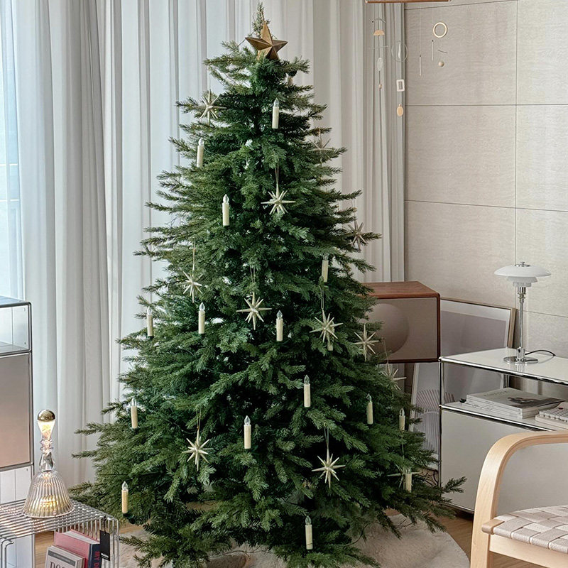 2024 christmas tree new arrivals: the perfect way to bring festive ...