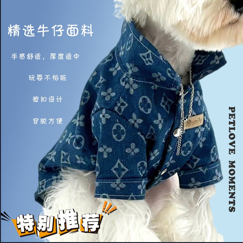 🐶 🔥 The fashion icon in the pet world! trendy brand teddy bichon west ...