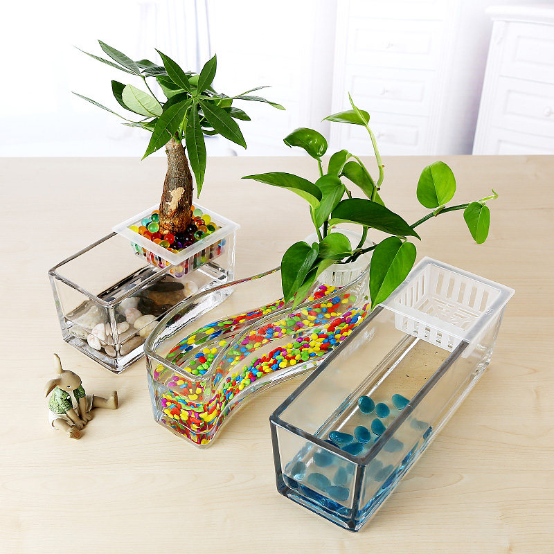 Buy Free shipping Transparent glass vase hydroponic Rectangle shaped ...