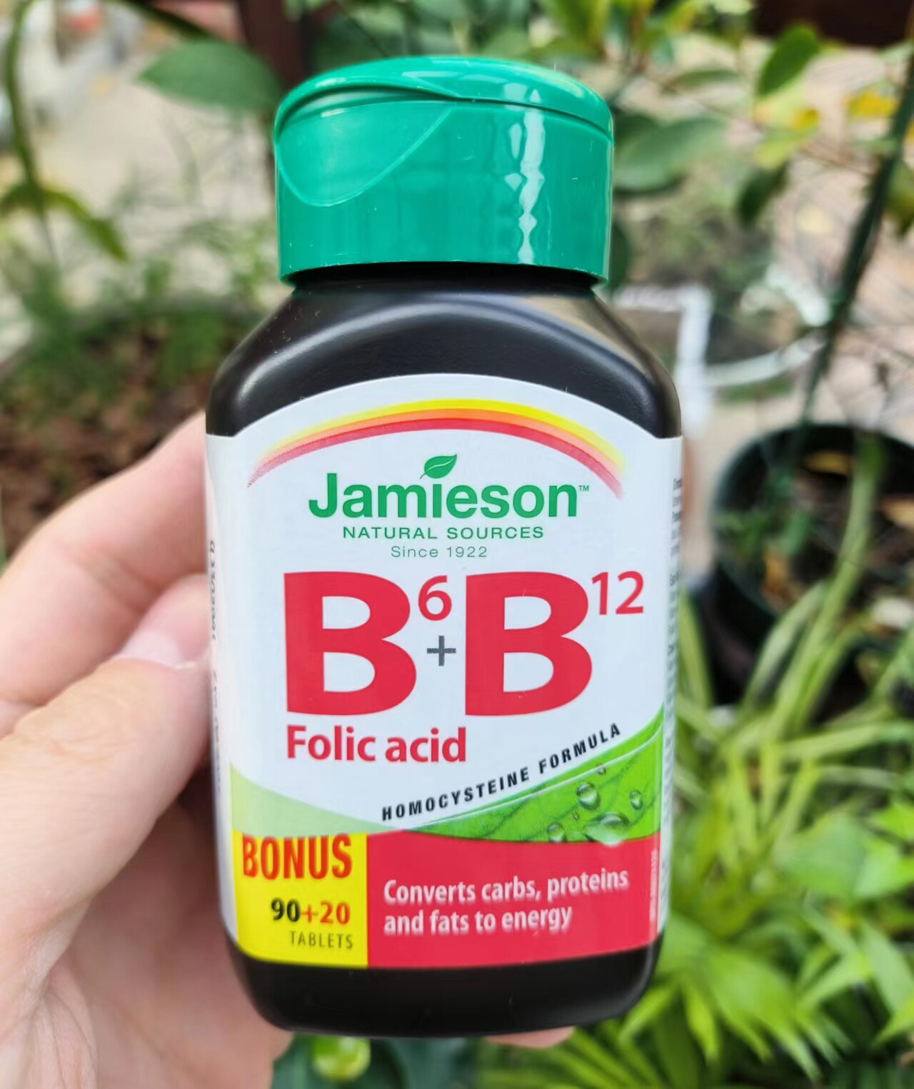 代购加拿大Jamieson健美生维生素B6+B12+叶酸90+20粒有何功效？适合哪些人群服用？-B族维生素-淘宝好物网