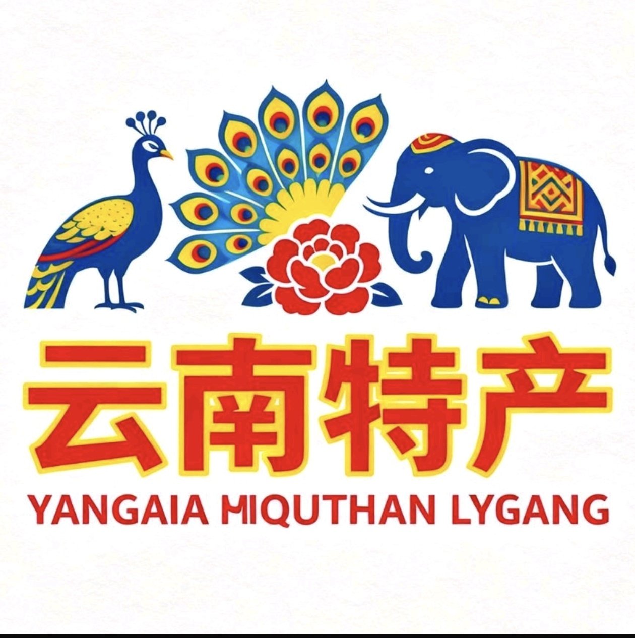 滇华锦集 云南特产伴手礼