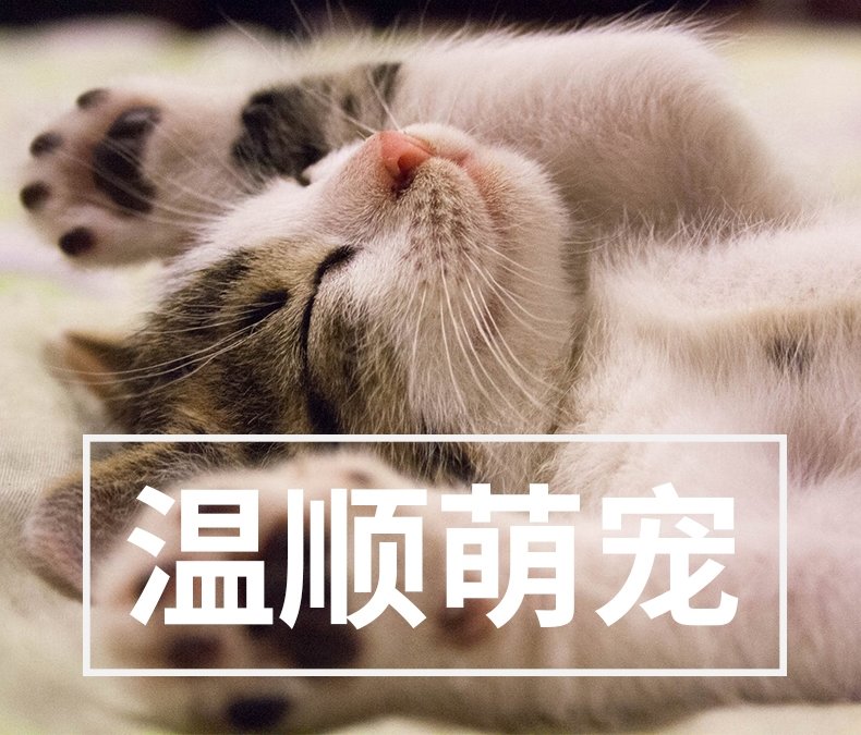 宠物零食用品仓