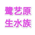 鹭艺原生水族