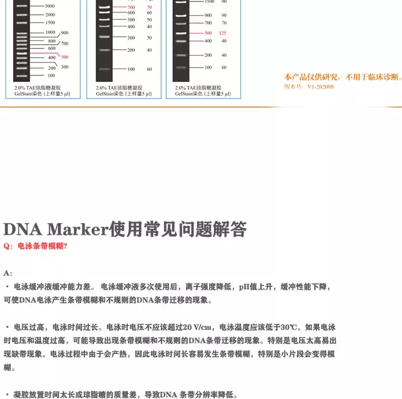 全式金 DNA Marker 分子量標準 DNA Ladder分子梯度