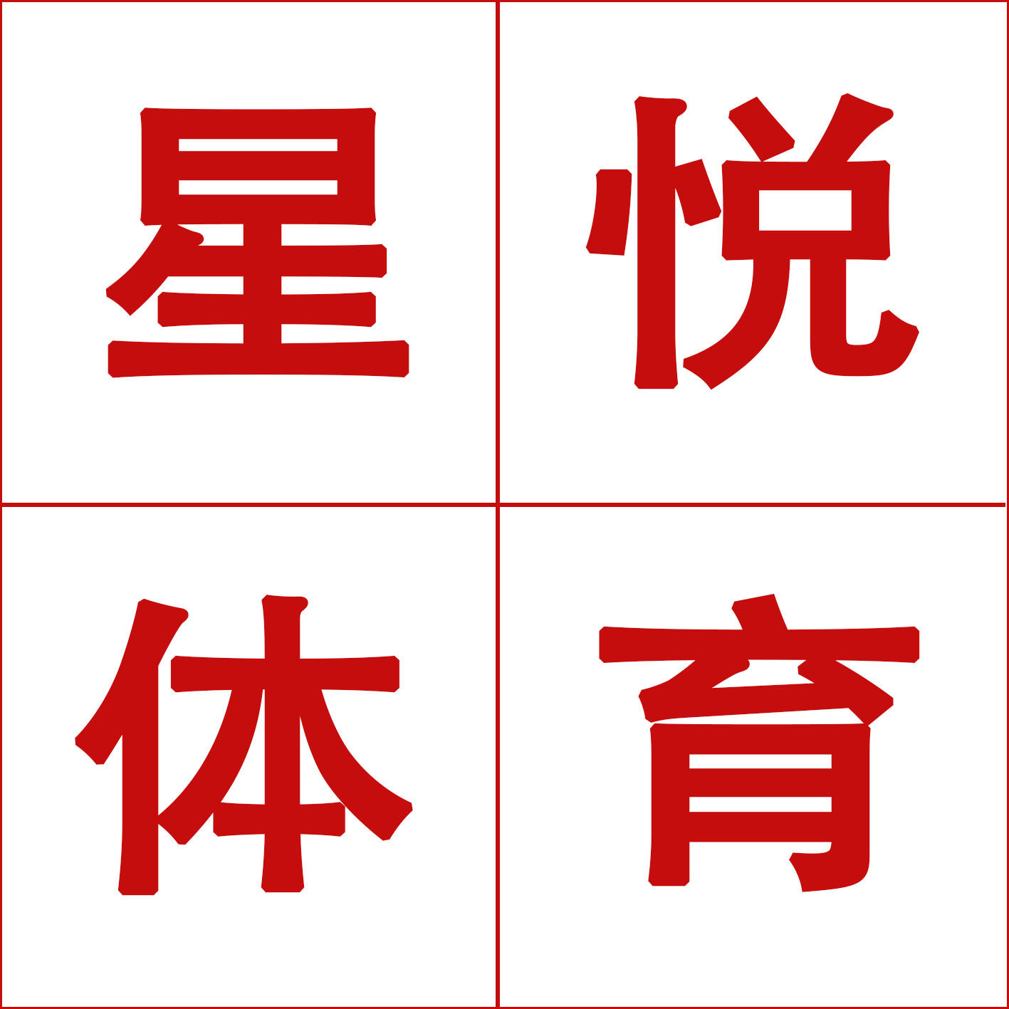 星悦健美操啦啦操体育工厂