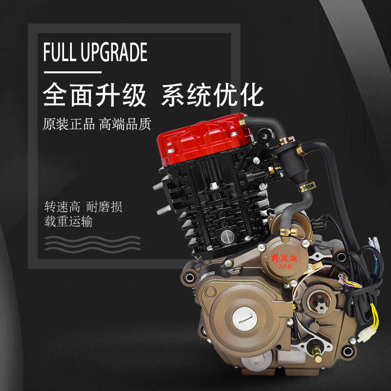 Three-Wheeler Motorcycle Engine Zongshen Longxin 150 175 200 250 300 350 Water-cooled Zongwo Power