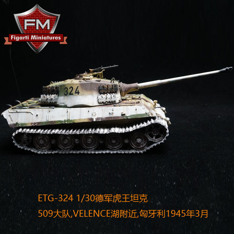 ETG-324 1 30 World War II German King Tiger Hungary 1945 nian 3 yue