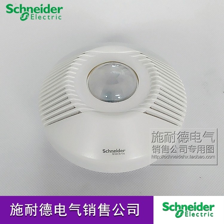 Schneider presence sensor infrared ultrasonic corridor porch light ...