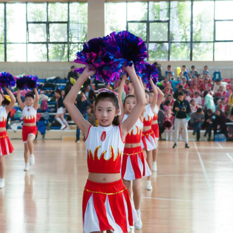 [USD 4.99] cheerleading cheerleader hand cheerleading flower ball large ...