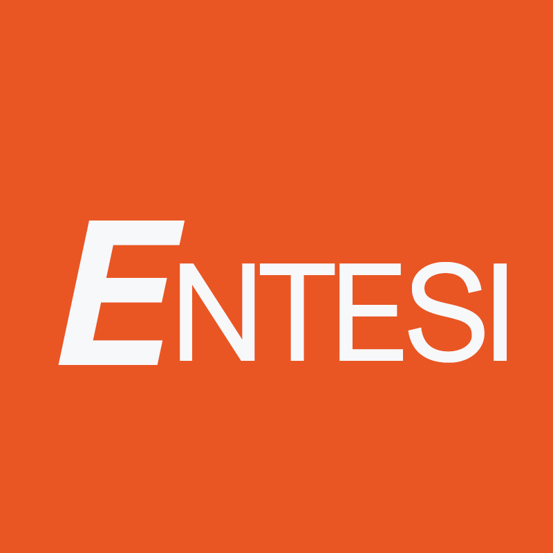 entesi旗舰店