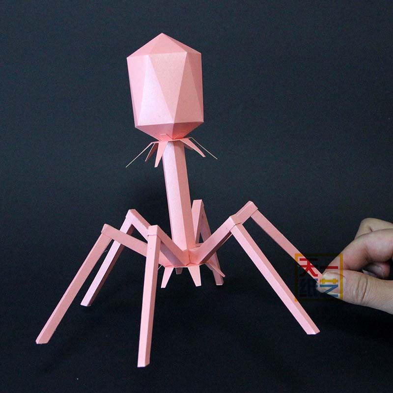 Handmade diy phage paper model | Ebuy7.com