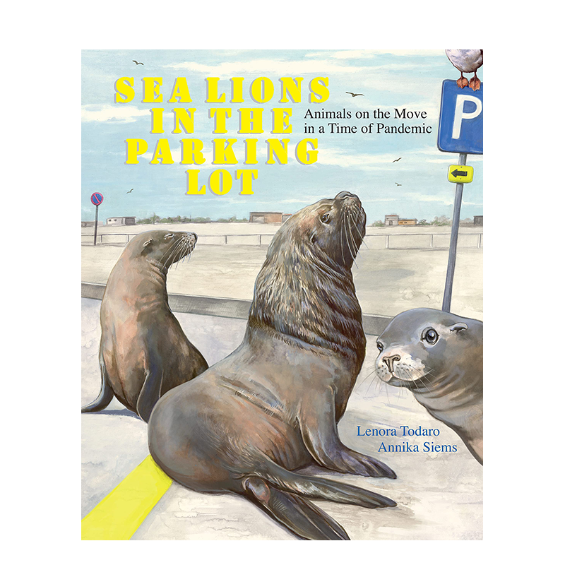 【现货】海狮在停车场里Sea Lions in the Parking Lot 自然与人关系相处探讨 青少年课外读物 英文原版 善本图书-Taobao