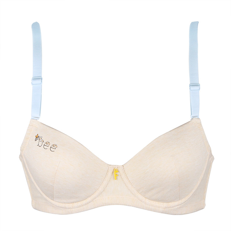[USD 27.21] Yilanfen brand new girl bra High school student underwear ...