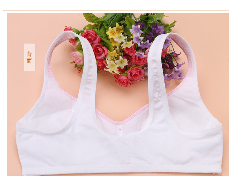 Yilanfen girl student underwear vest cute cotton development period ...
