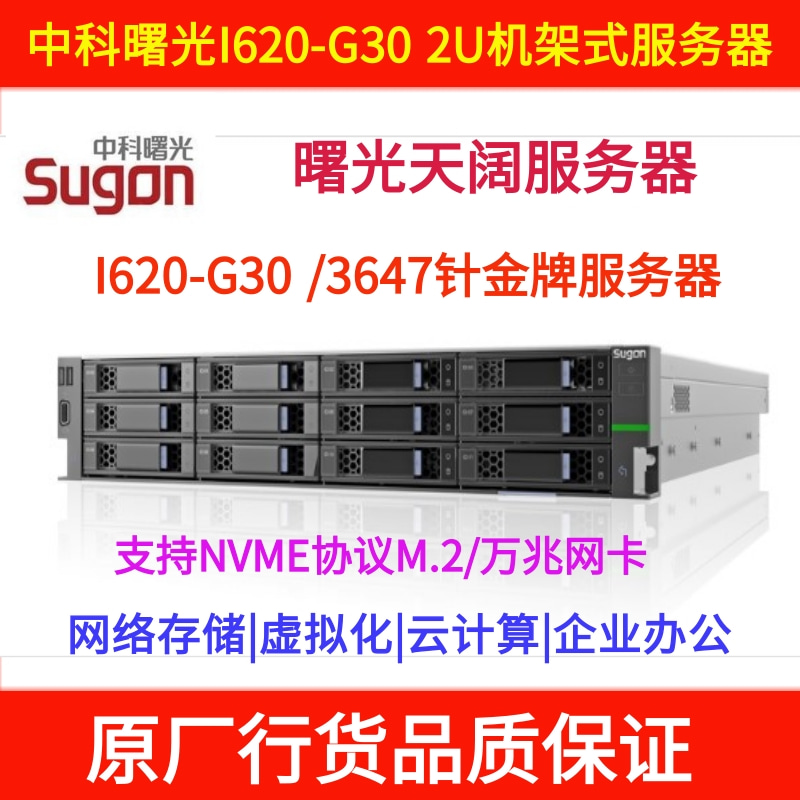 中科曙光I620-G30 R620-G30 2U机架式服务器3647针金牌U.2秒 R740-Taobao Singapore