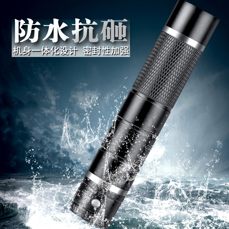 Patrol stick Patrol device Electronic patrol system Security patrol ...