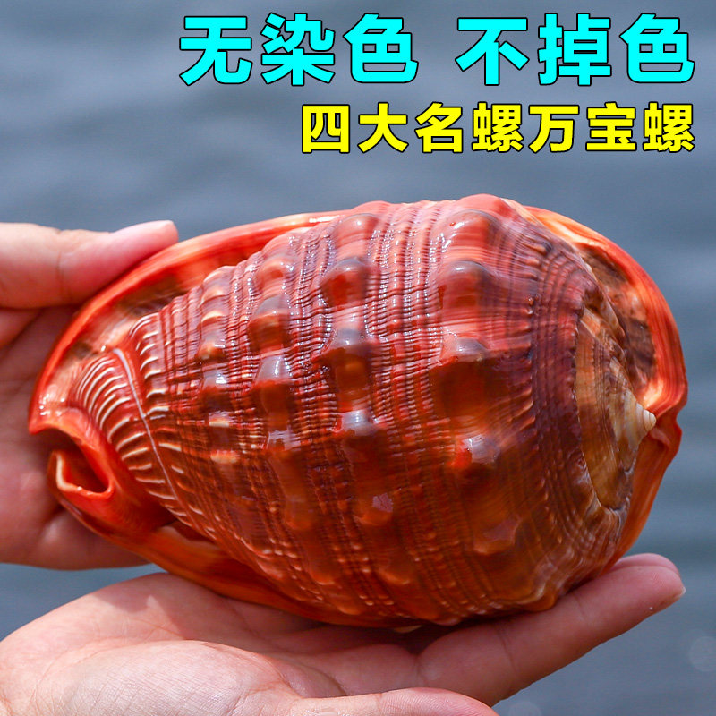 [USD 9.82] Four famous screws and treasure screws cylinders are scenes ...