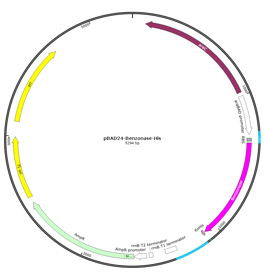 Benzonase全能核酸酶质粒，海吉浩格生物如何助力科研？🧬-实验室用DNA/RNA-淘宝好物网