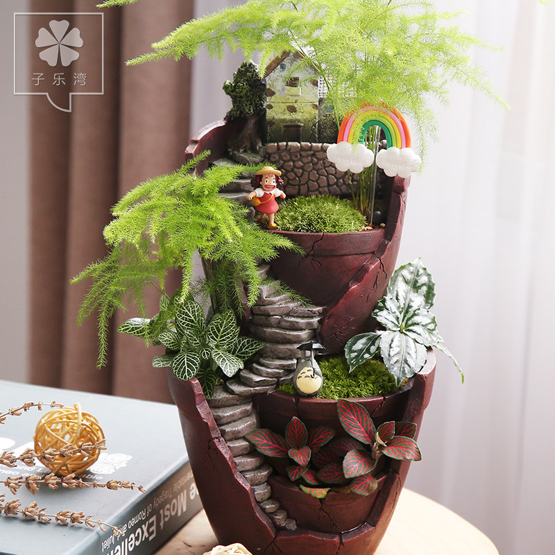 Zilewan micro-landscape mini potted plants Cute moss micro-landscape ...