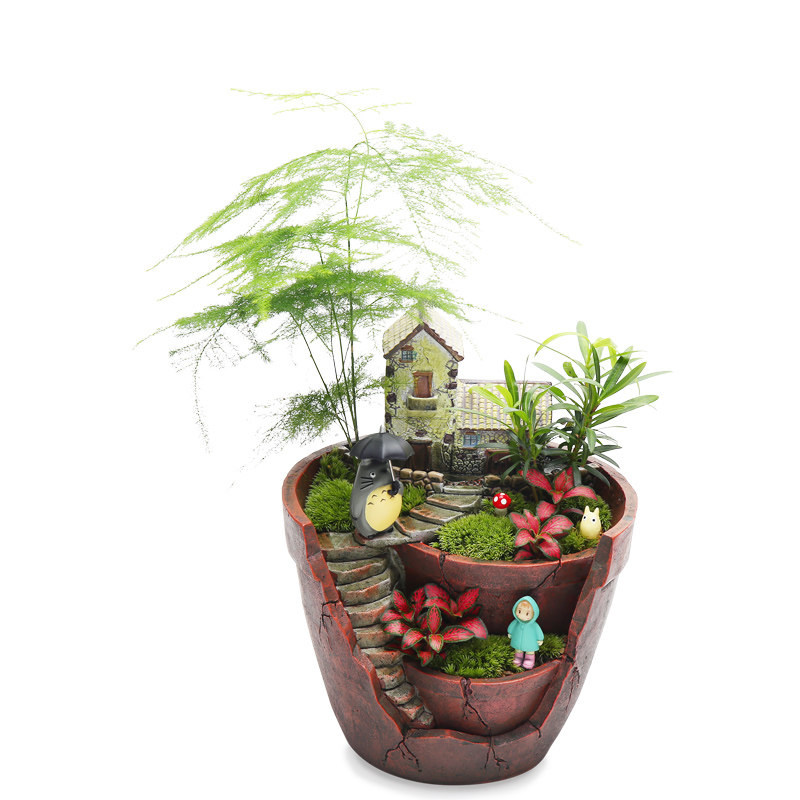 Zilewan micro-landscape mini potted plants Cute moss micro-landscape ...