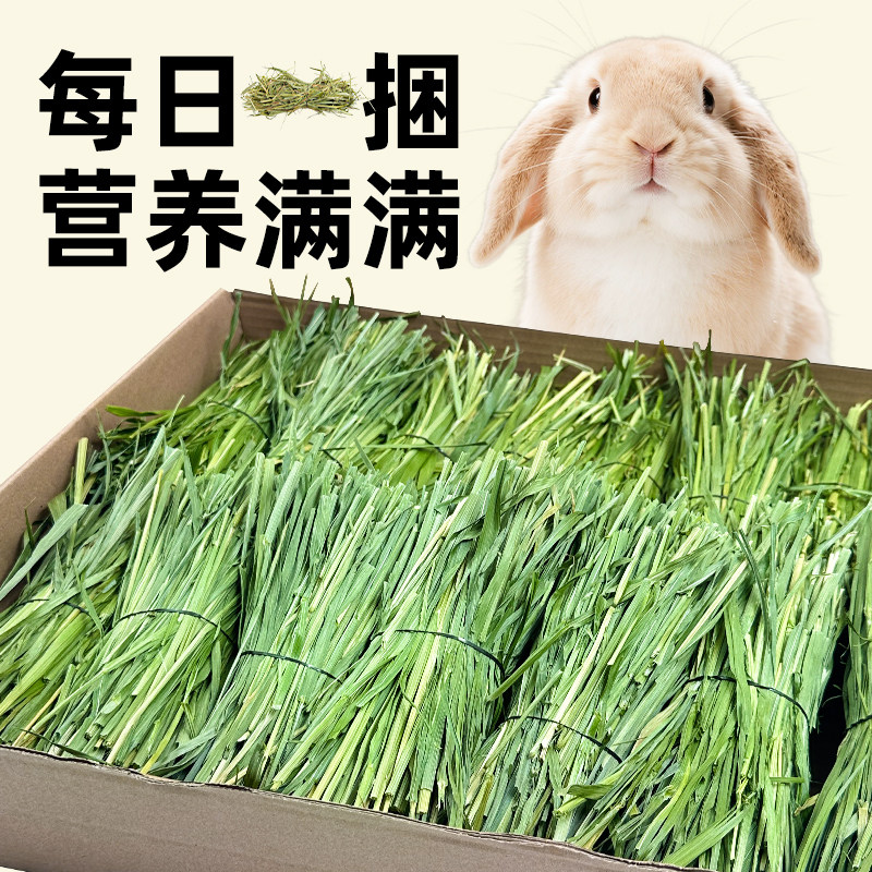 2025's ultimate hay collection review: timothy hay, alfalfa hay, or ...