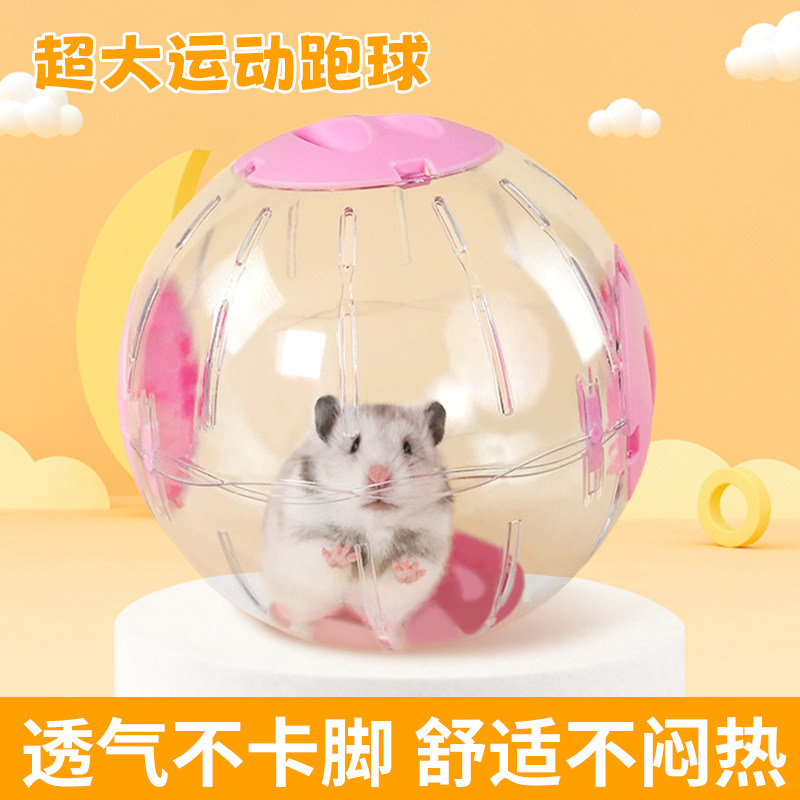 The hamster running wheel is a magic tool to relieve boredom, allowing ...