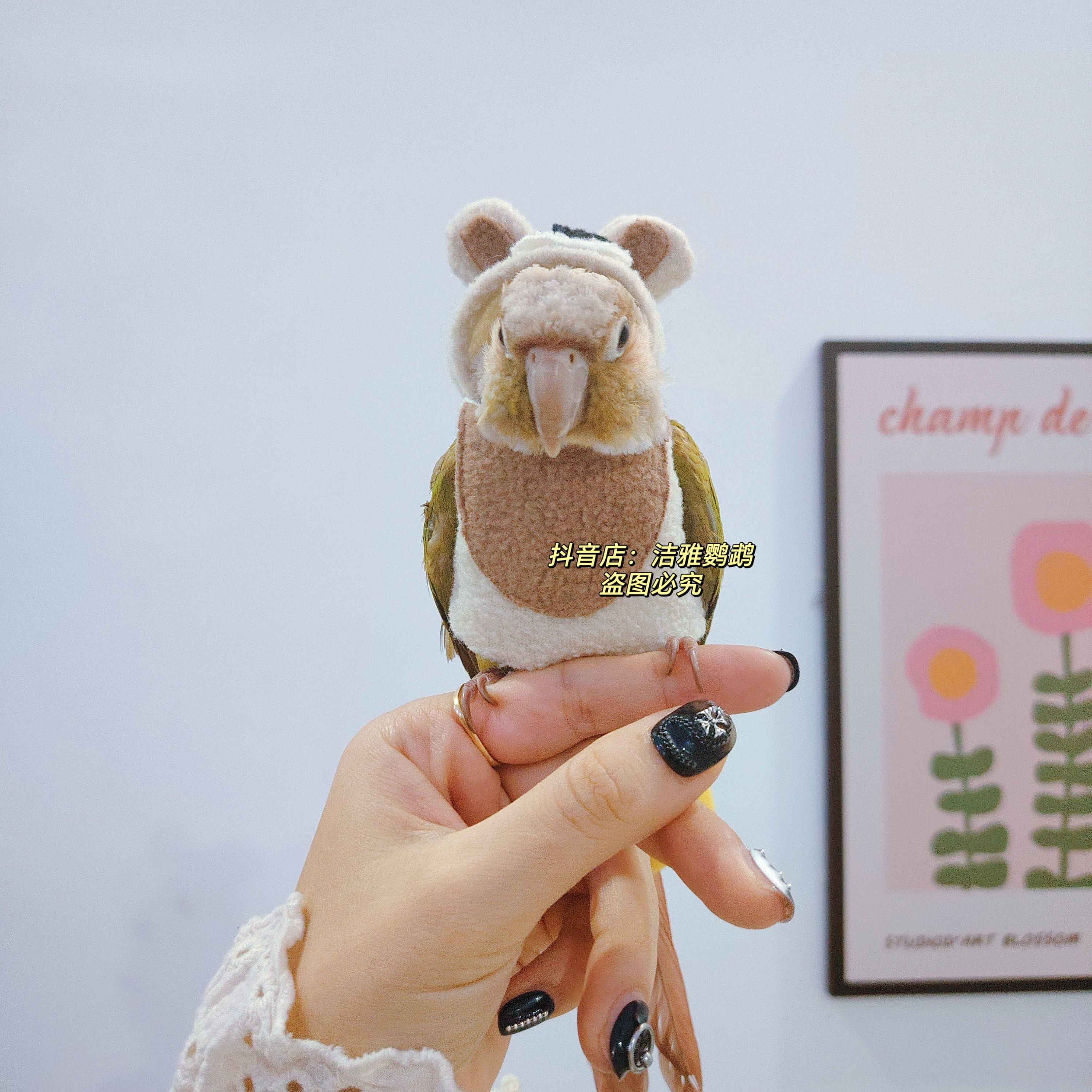 A must-have for winter lovers! small pet cockatiel bird clothes, super ...