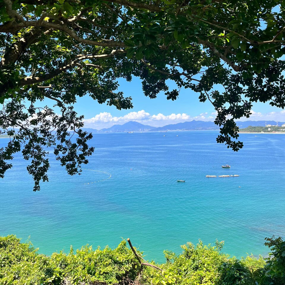美护期舒宝客