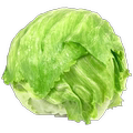 绿色果蔬农场