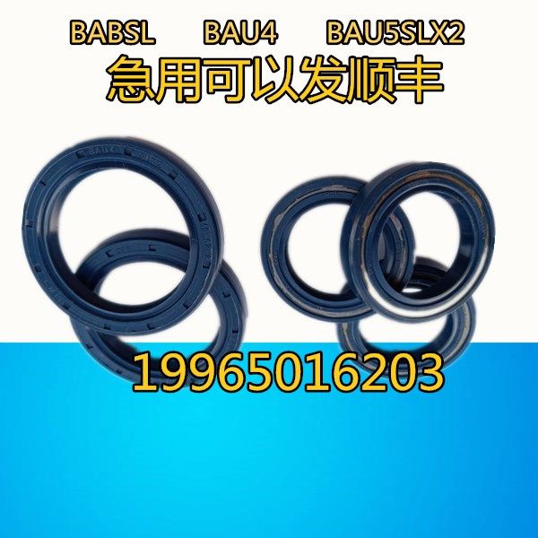 TSS-S BAX2 004 1 62*90*12 oil seal
