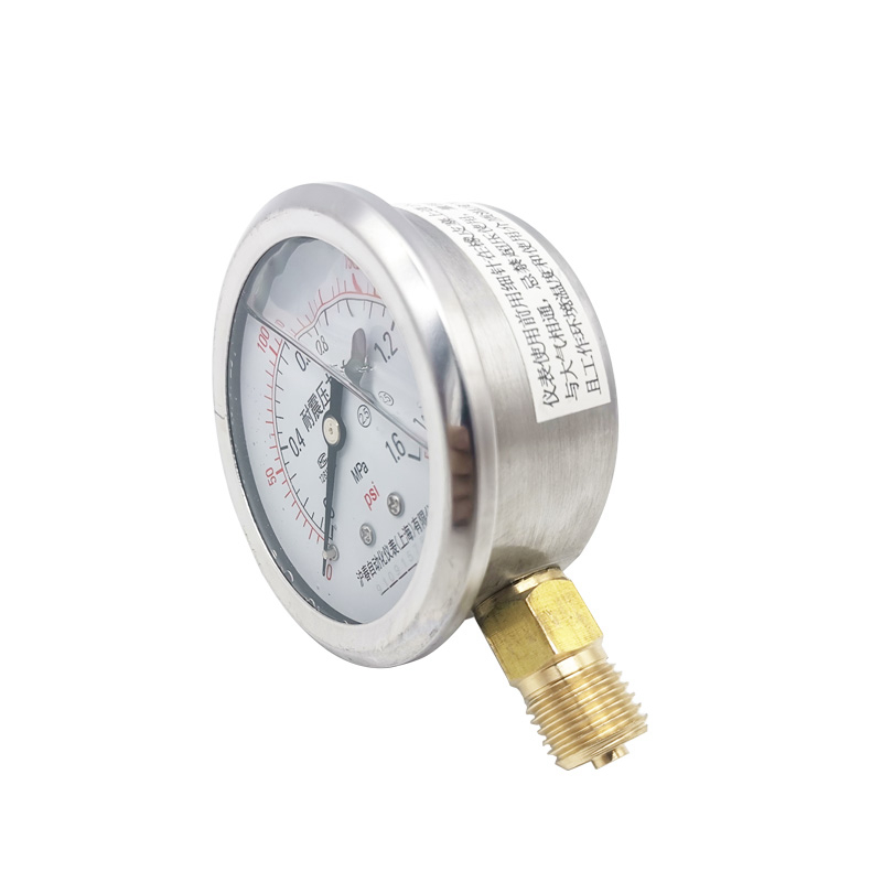 Earthquake Resistant Shock Resistant Pressure Gauge YN60 Earthquake Resistant Water Pressure ...