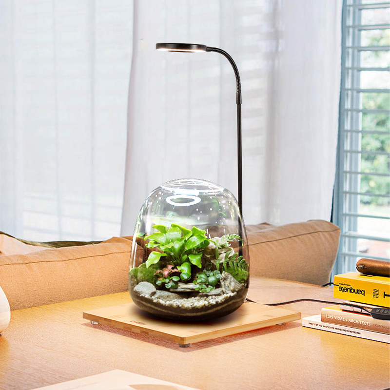 [USD 14.24] led bamboo board fish tank lamp microscopic viewing lamp ...