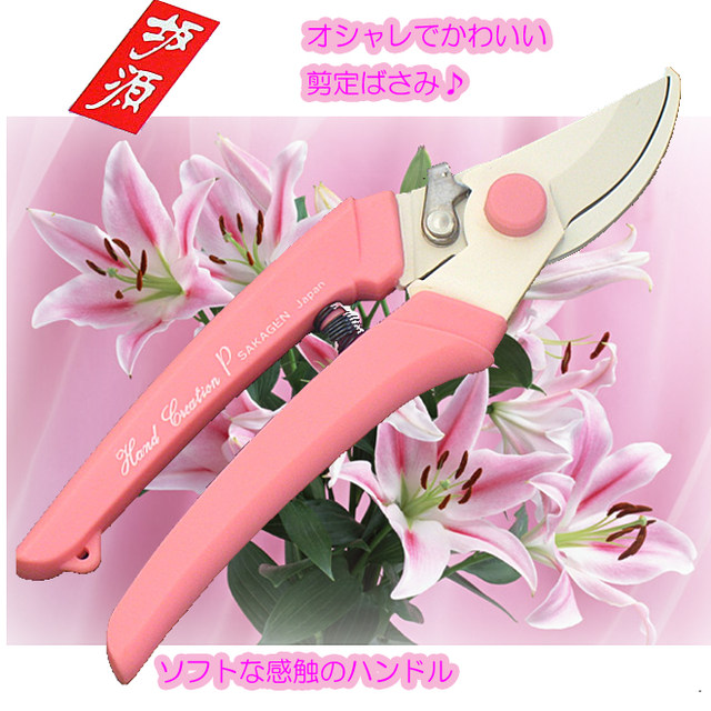 Japan imported Sakura scissors professional floral, cut, cut flower ...