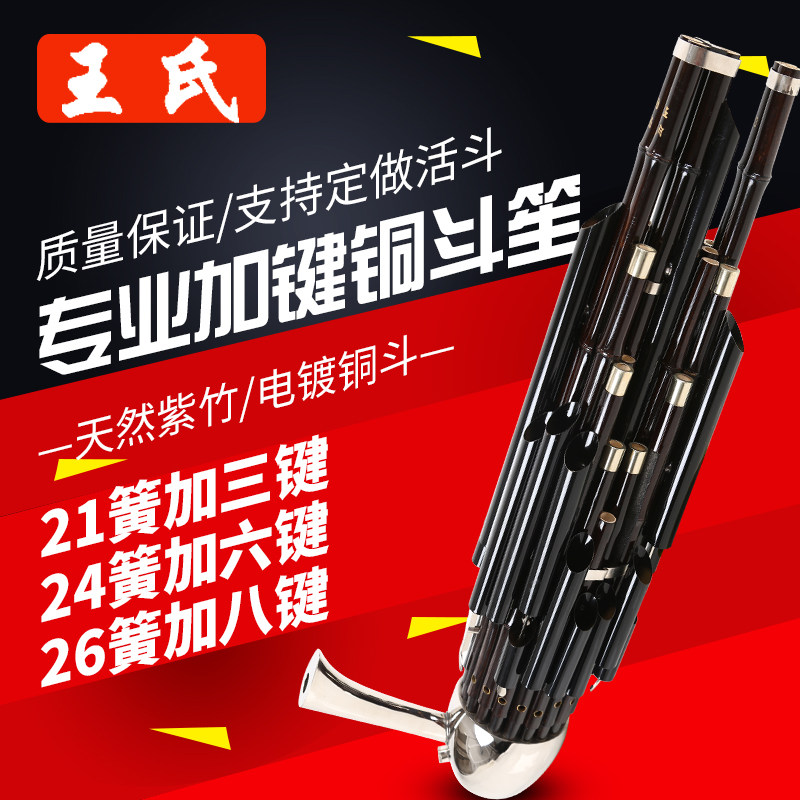 Tianjin Wang's Sheng Musical Instrument Professional Beginner 21 Reed ...