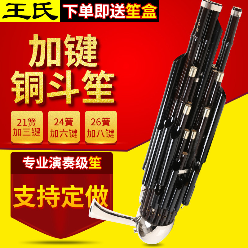 Tianjin Wang's Sheng Musical Instrument Professional Beginner 21 Reed ...