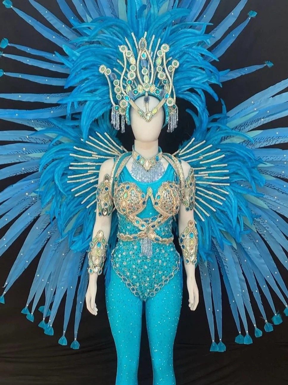 🔥 Db performance costumes: custom exotic stage show samba feather ...