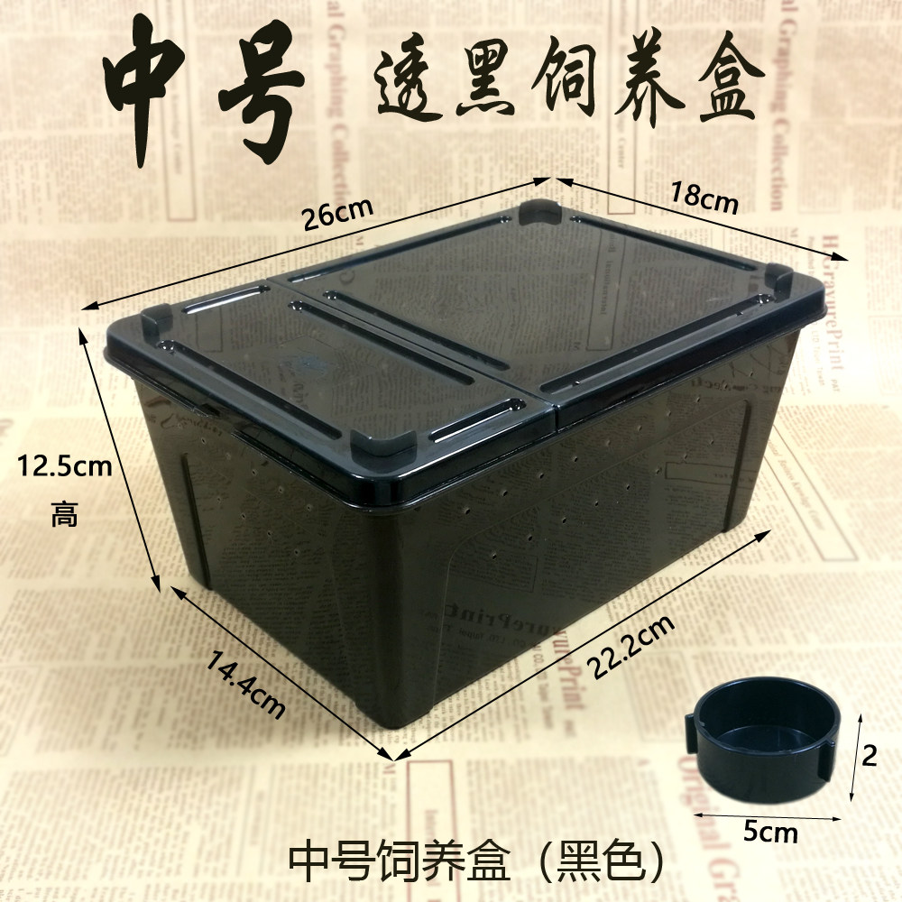 [USD 4.24] Climbing and reptile boxes to guard the palace lizard spider ...