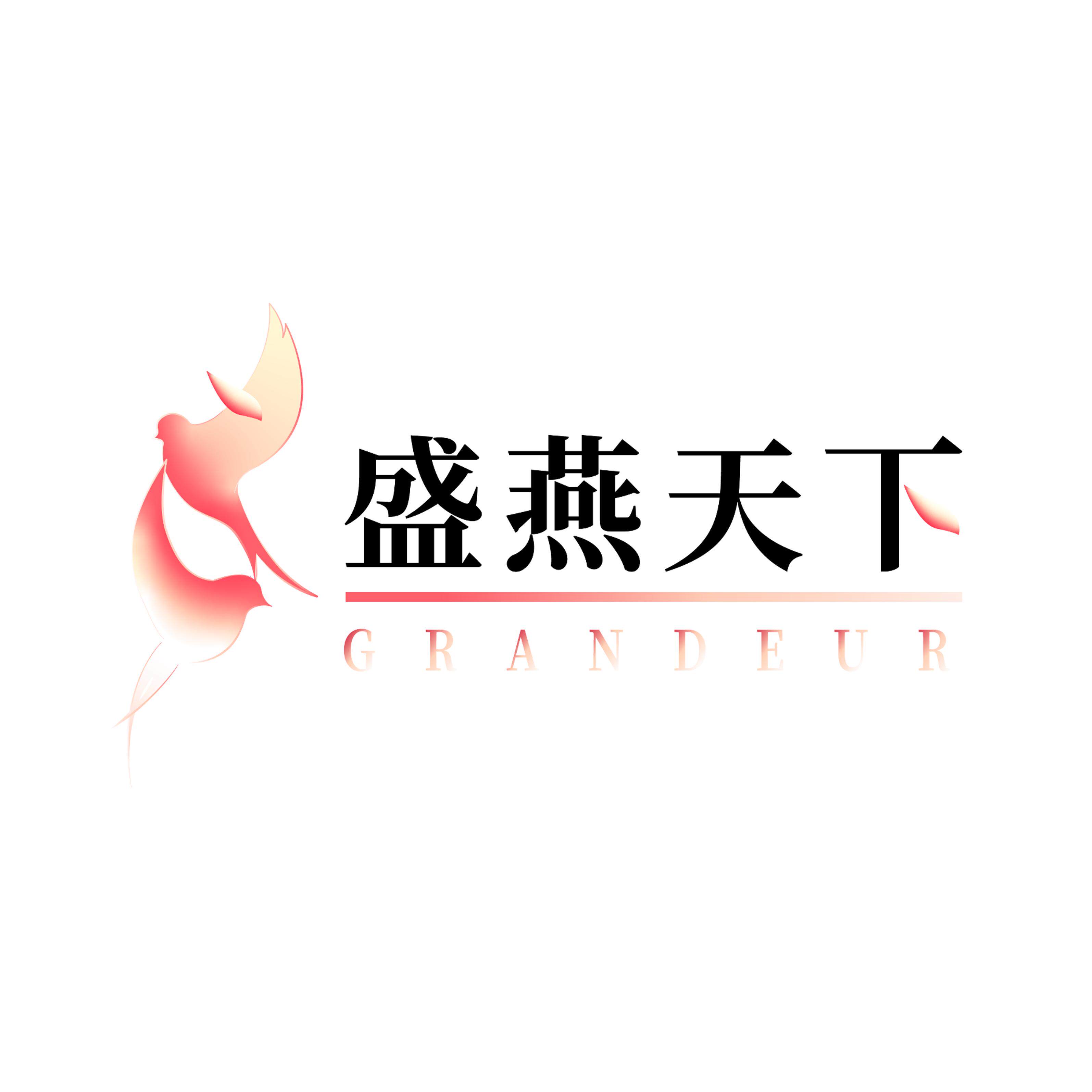 盛燕天下企业店